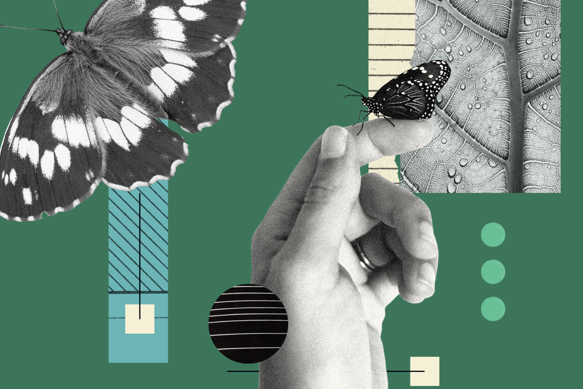 What are High-Yield Investments?